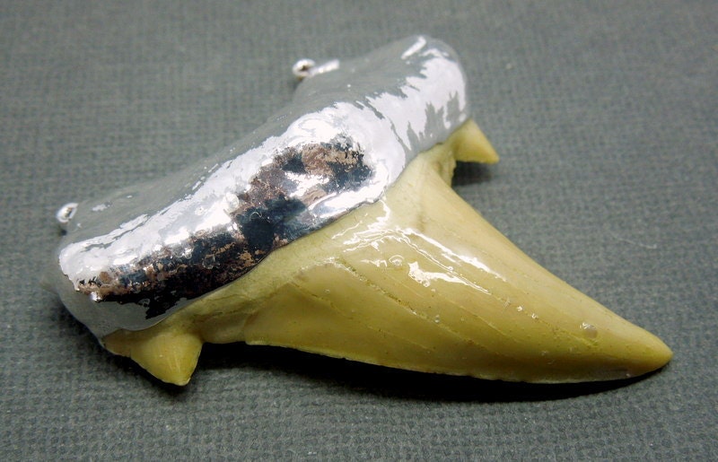 Real Shark Tooth Pendant Charm Silver Electroplated Cap and | Etsy