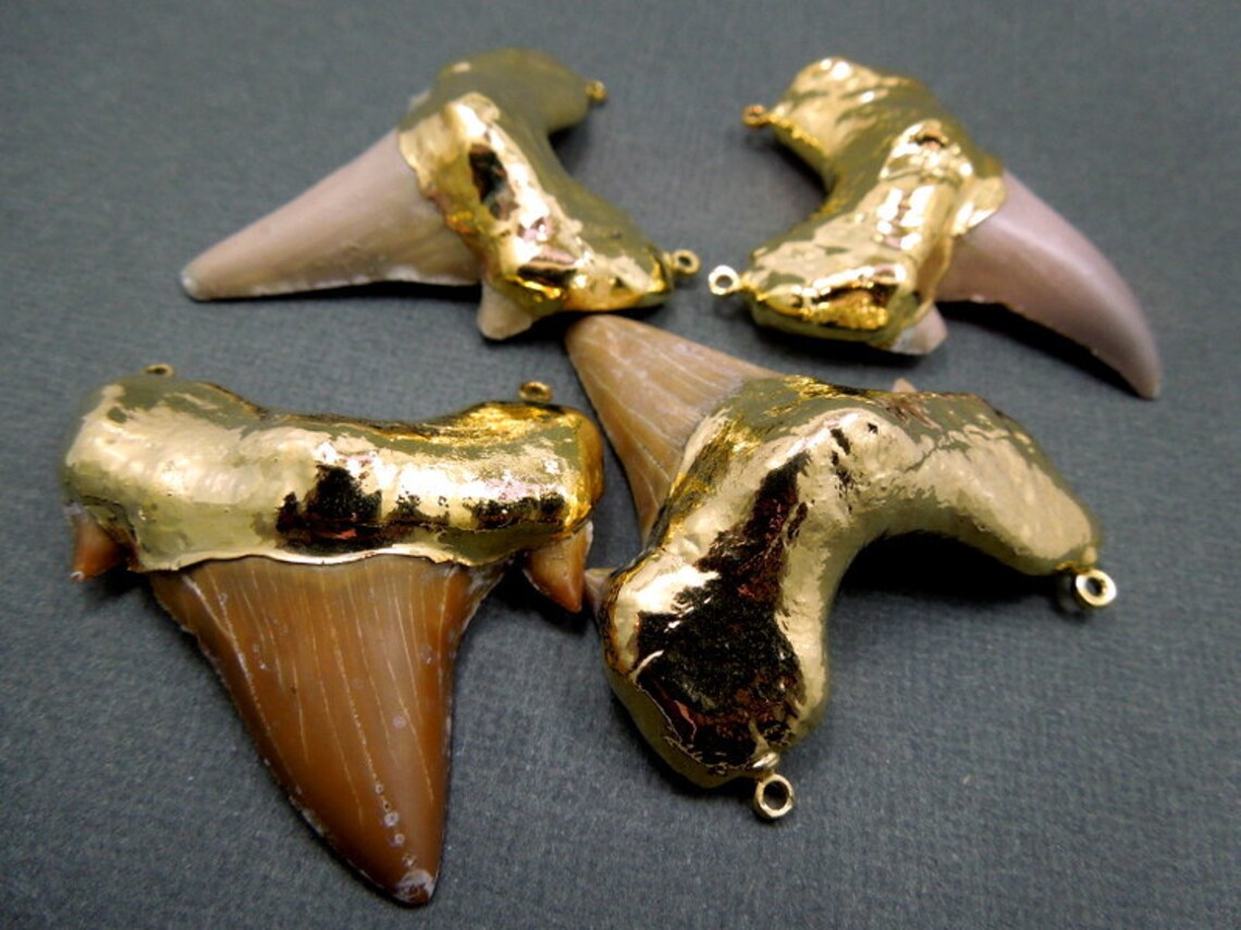 Real Shark Tooth Pendant Charm Dipped in Electroplated 24k - Etsy