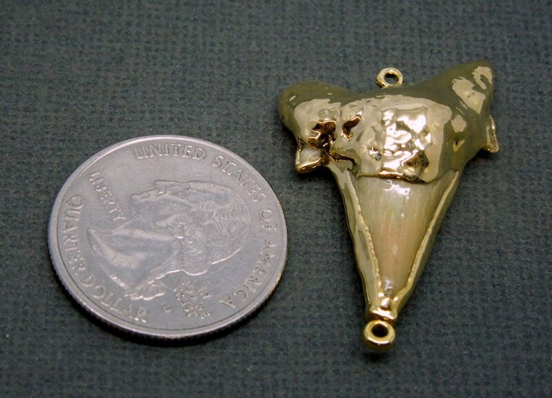 Shark Tooth CONNECTOR Real Shark Tooth Pendant Charm Electroplated 24k ...