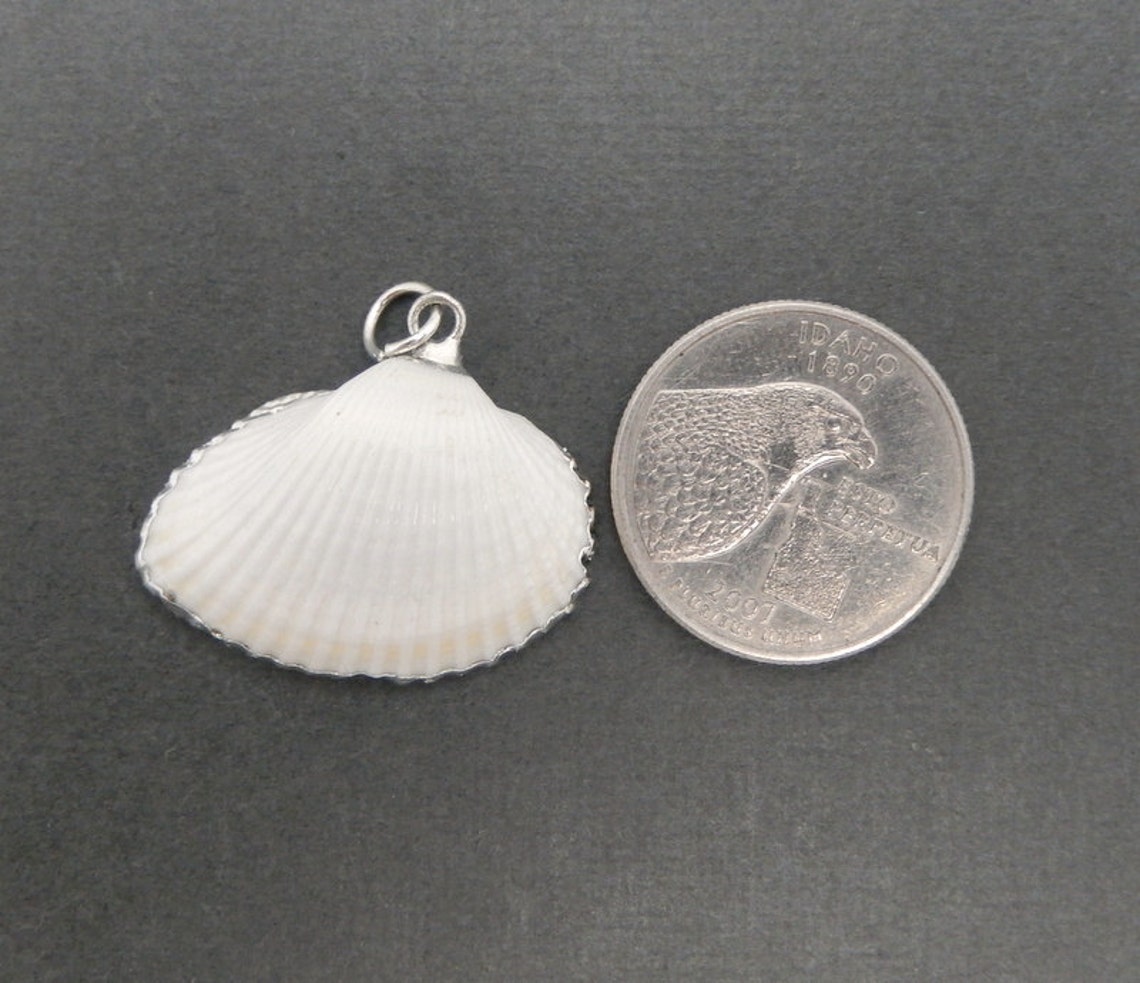 White Shell Textured Pendant with Electroplated Silver Edges | Etsy