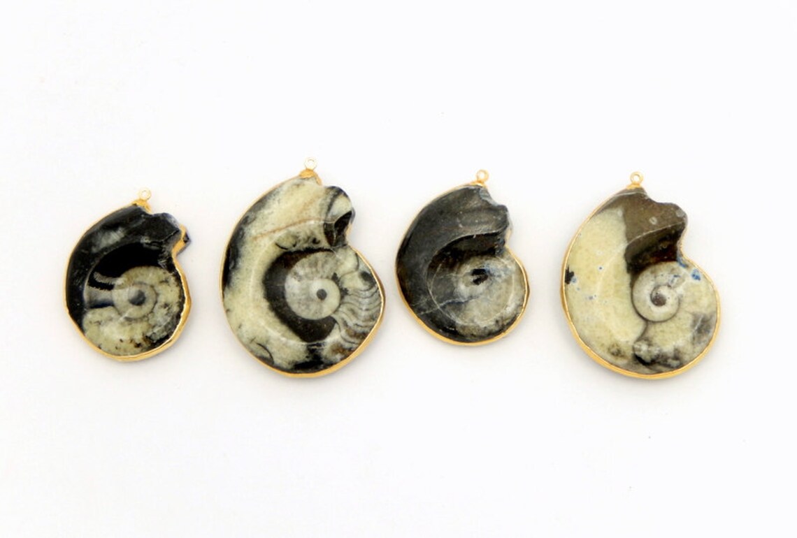 Beautiful Ammonite Pendant With 24k Gold Electroplated Edge- Whole ...