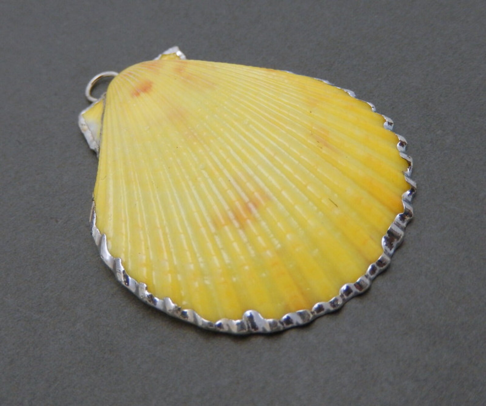 Amazing Yellow Shell Pendant With Electroplated Silver Edges and Bail ...