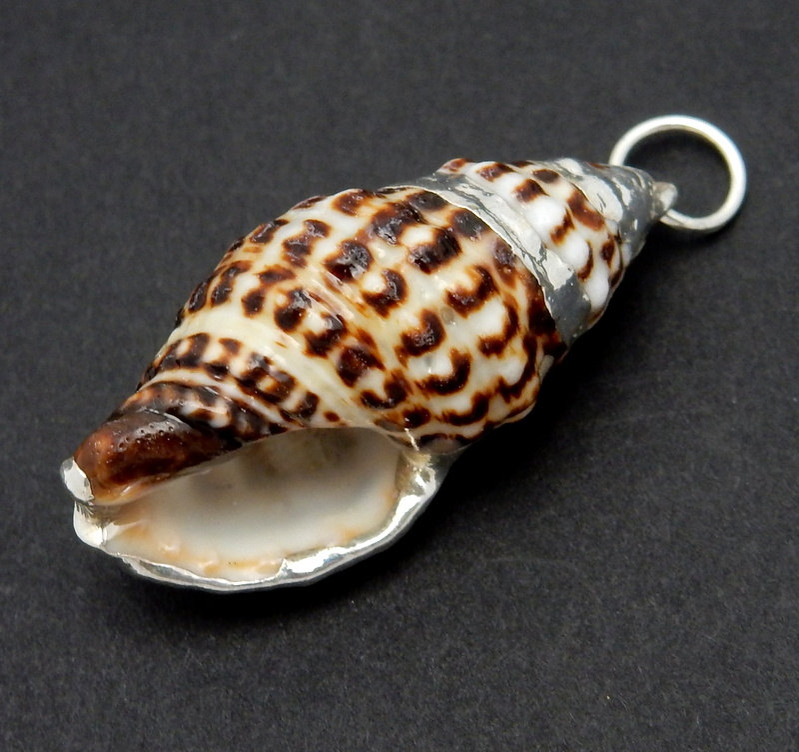 Brown Spotted Seashell With Silver Electroplated Swirl and Bail Pendant ...