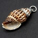 Brown Spotted Seashell With Silver Electroplated Swirl and Bail Pendant ...