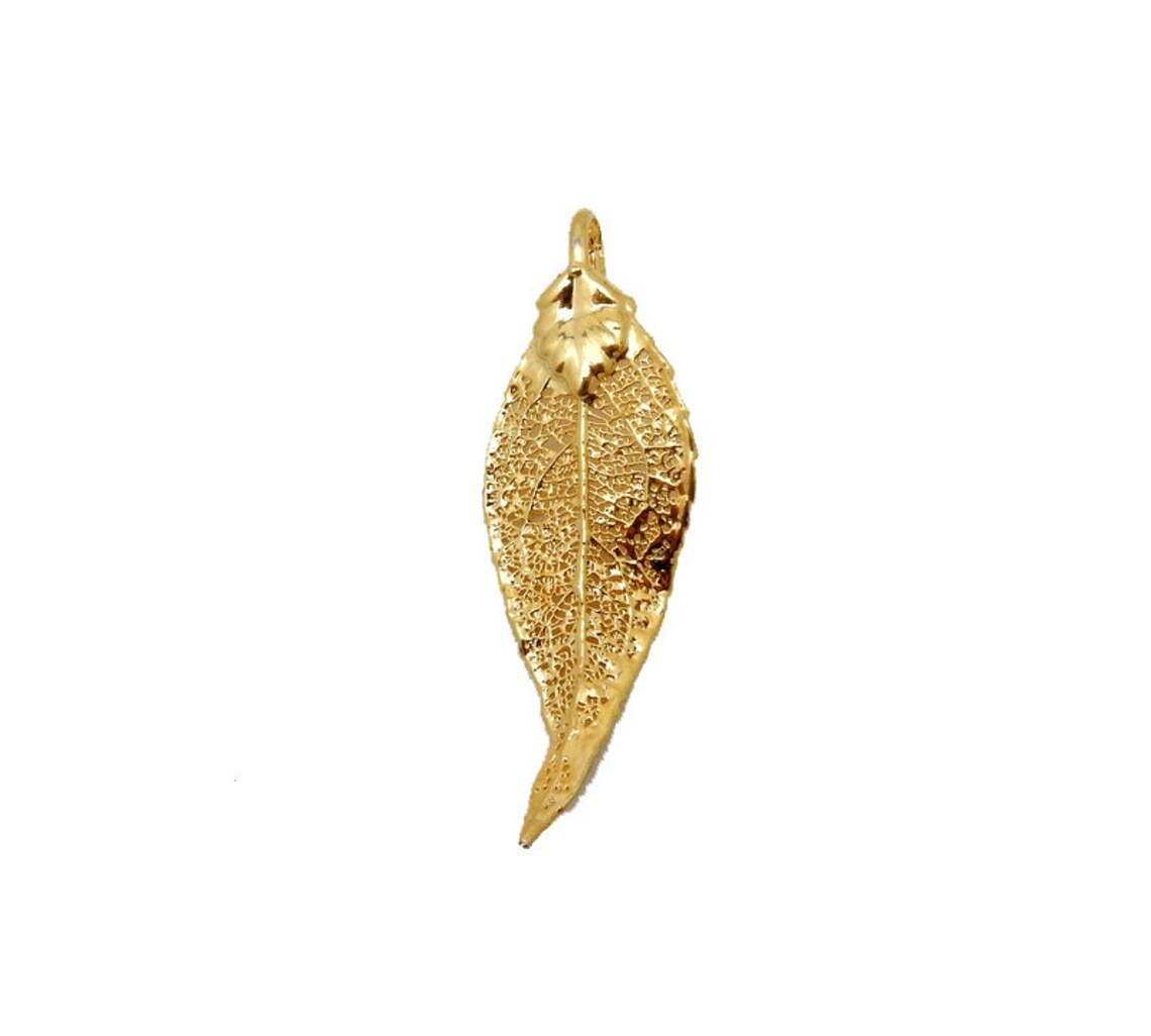 American Hornbeam Leaf Lovely 24k Gold Electroplated Leaves | Etsy