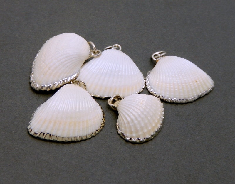 White Shell Textured Pendant With Electroplated Silver Edges and Bail ...