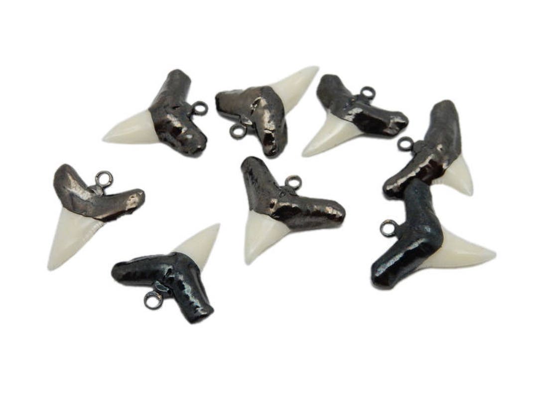 White Shark Tooth Pendant With Oxidized Silver Cap and Bail (S120B4-15 ...