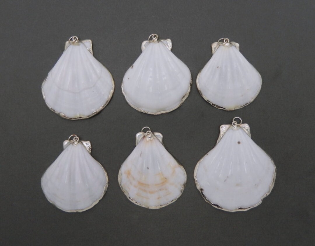 White Shell Pendant With Electroplated Silver Edges and Bail (s34b9b-08 ...