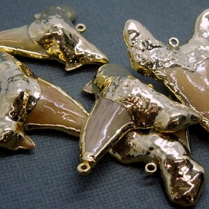 Shark Tooth CONNECTOR Real Shark Tooth Pendant Charm Electroplated 24k ...