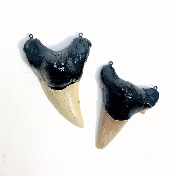 Metal Shark Tooth Pendant - Etsy