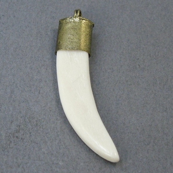 White Bone Horn - Etsy