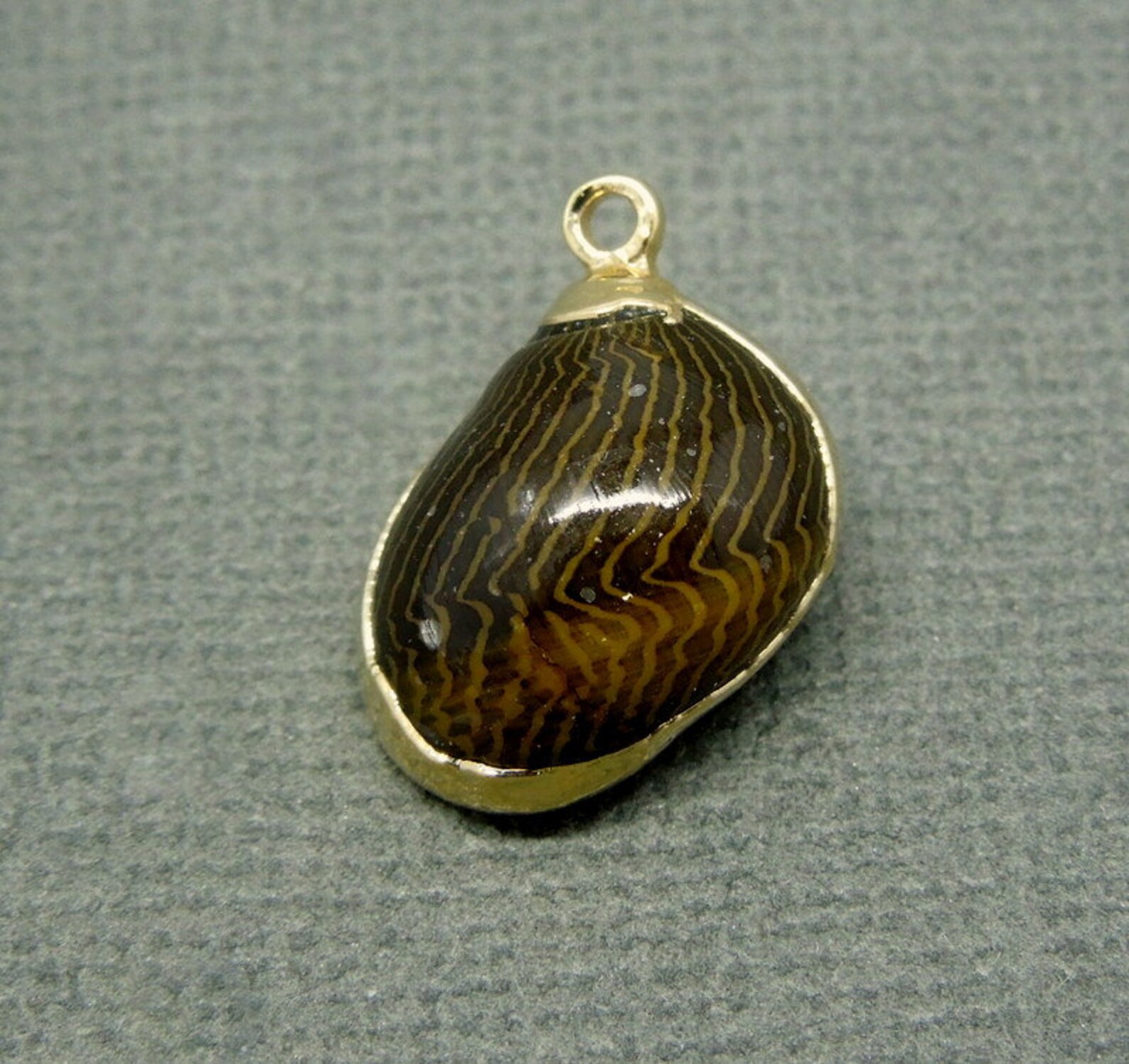 Sea Shell Pendant With 24k Gold Electroplated Edge Charm -- Seashell ...