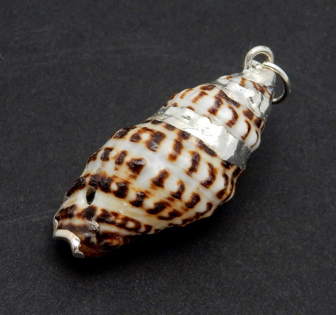 Brown Spotted Seashell With Silver Electroplated Swirl and Bail Pendant ...