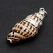Brown Spotted Seashell With Silver Electroplated Swirl and Bail Pendant ...