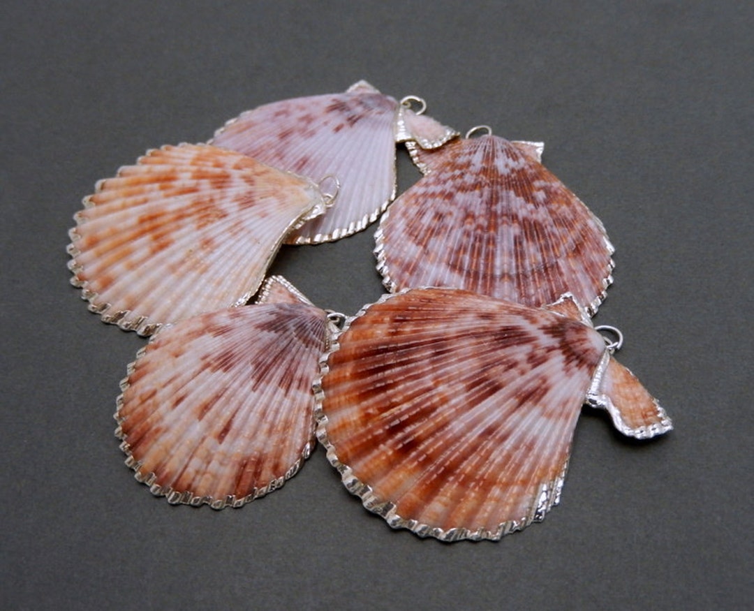 Amazing Speckled Shell Pendant With Electroplated Silver Edges and Bail ...