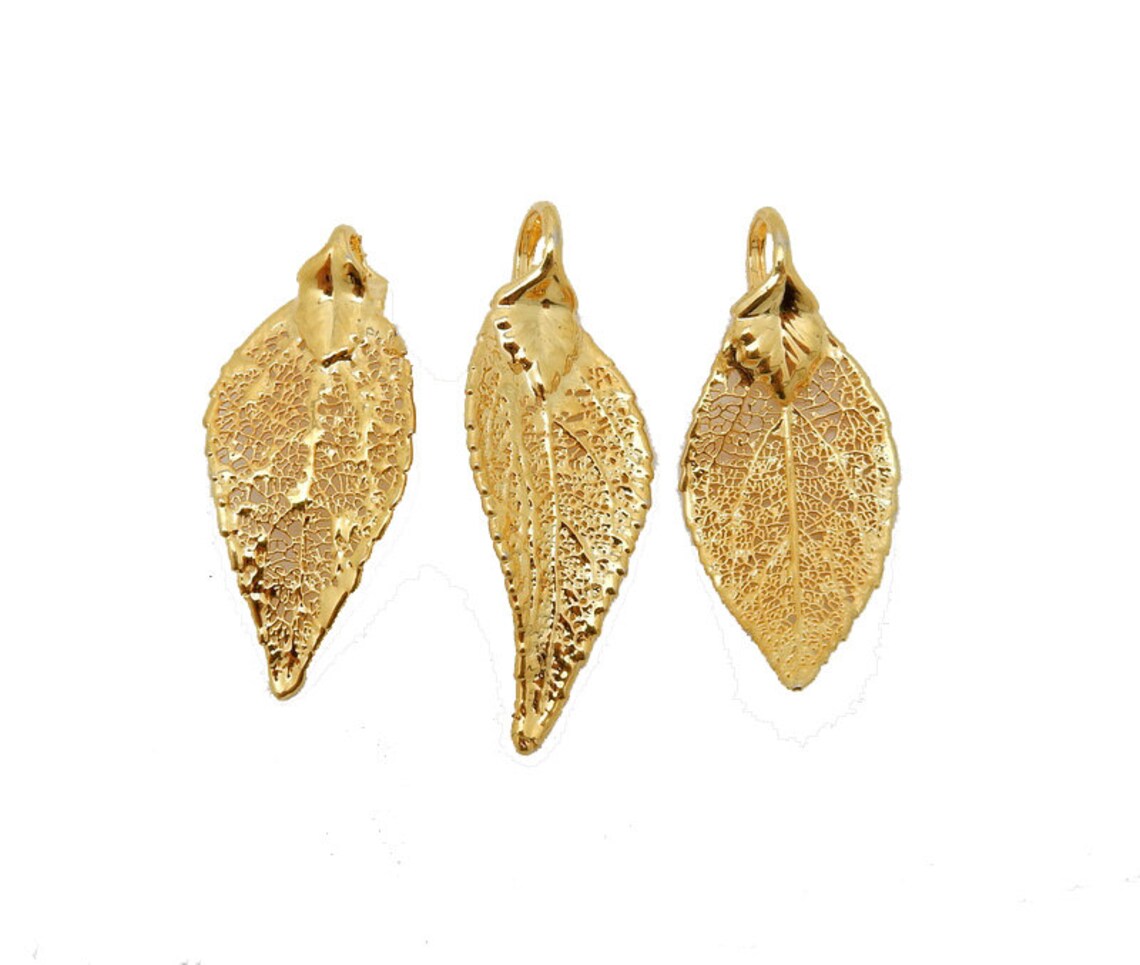 American Hornbeam Leaf Lovely 24k Gold Electroplated Leaves | Etsy