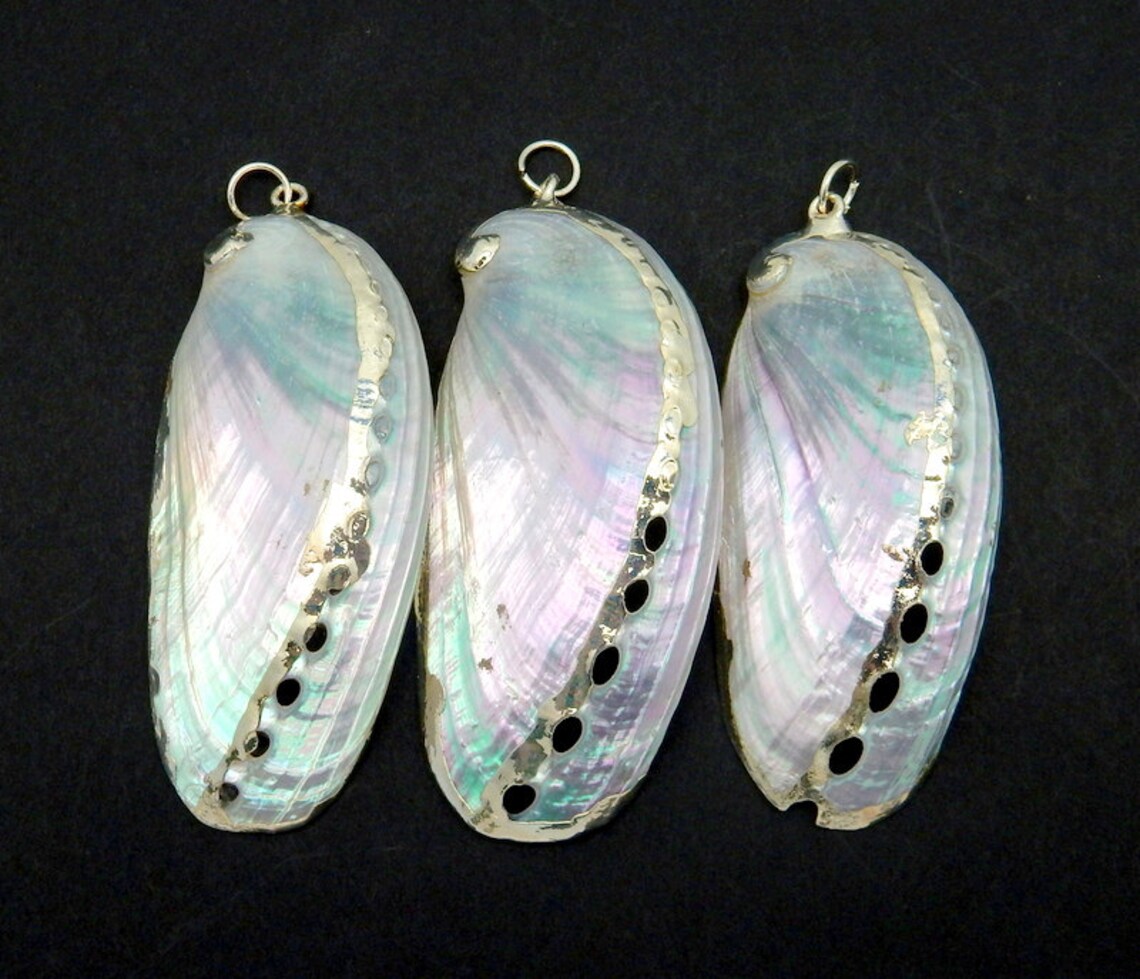 Electroplated Silver Edge Abalone Shell Pendant S83B14-06 | Etsy