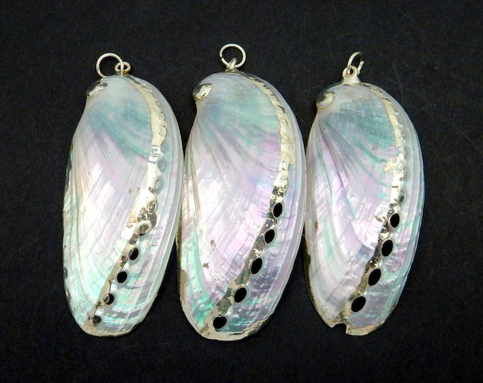 Electroplated Silver Edge Abalone Shell Pendant (S83B14-06) - Etsy