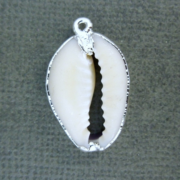 Cowrie Shell Pendant - Etsy