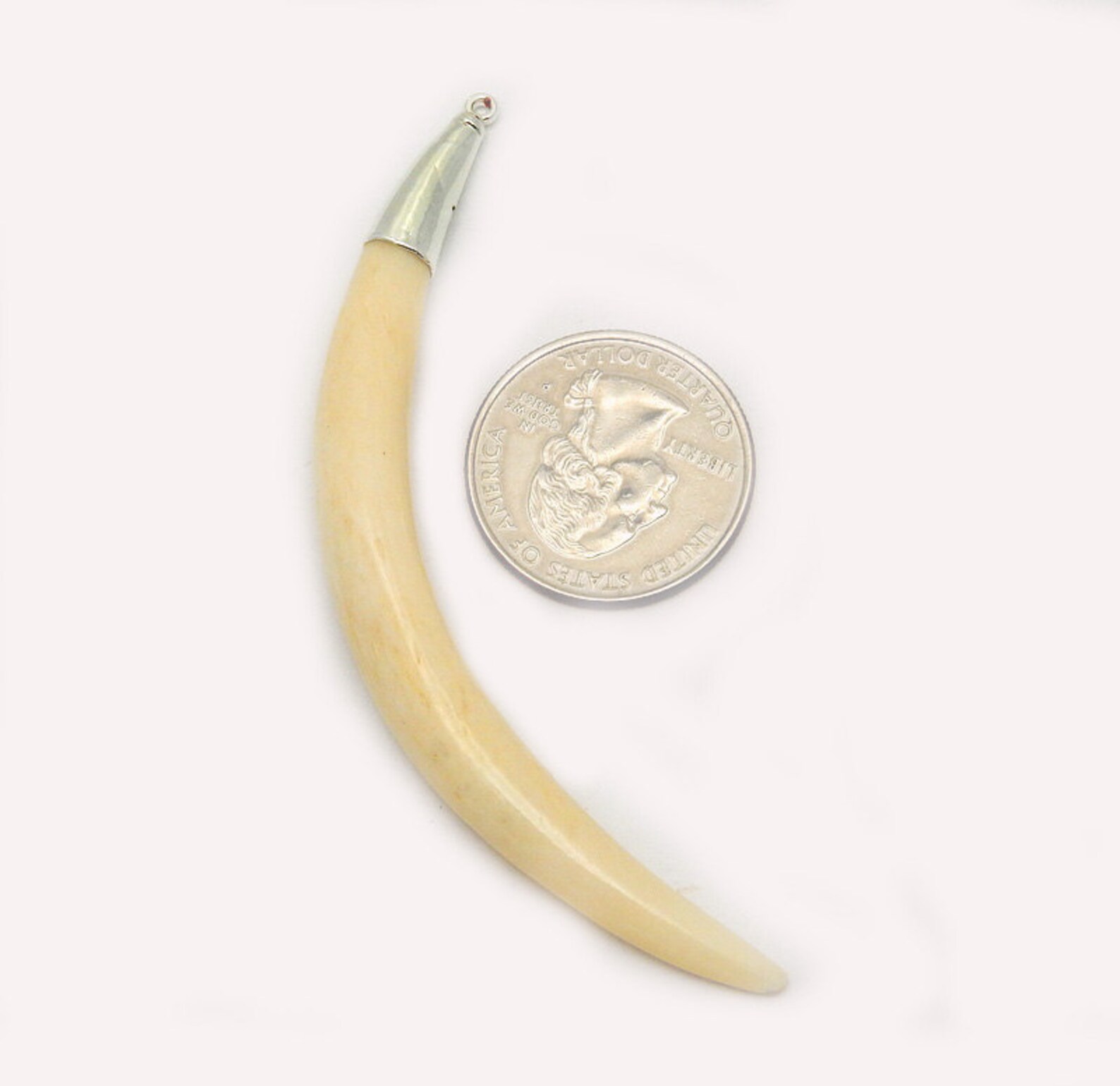 White Bone Sideways Horn Double Bail Pendant With Electroplated Silver ...