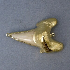 Large Fossil Shark Tooth Double Bail Pendant Connector With ...