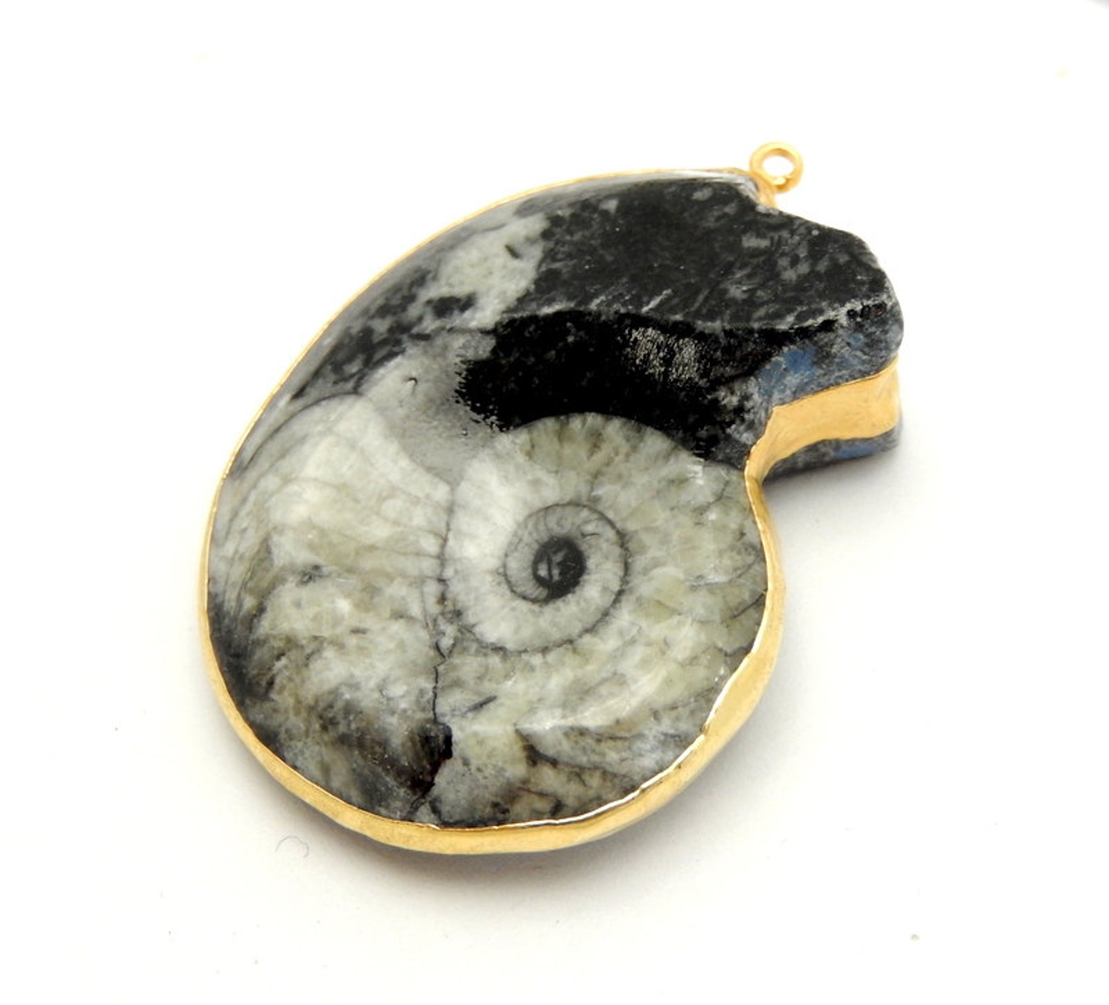 Beautiful Ammonite Pendant With 24k Gold Electroplated Edge- Whole ...