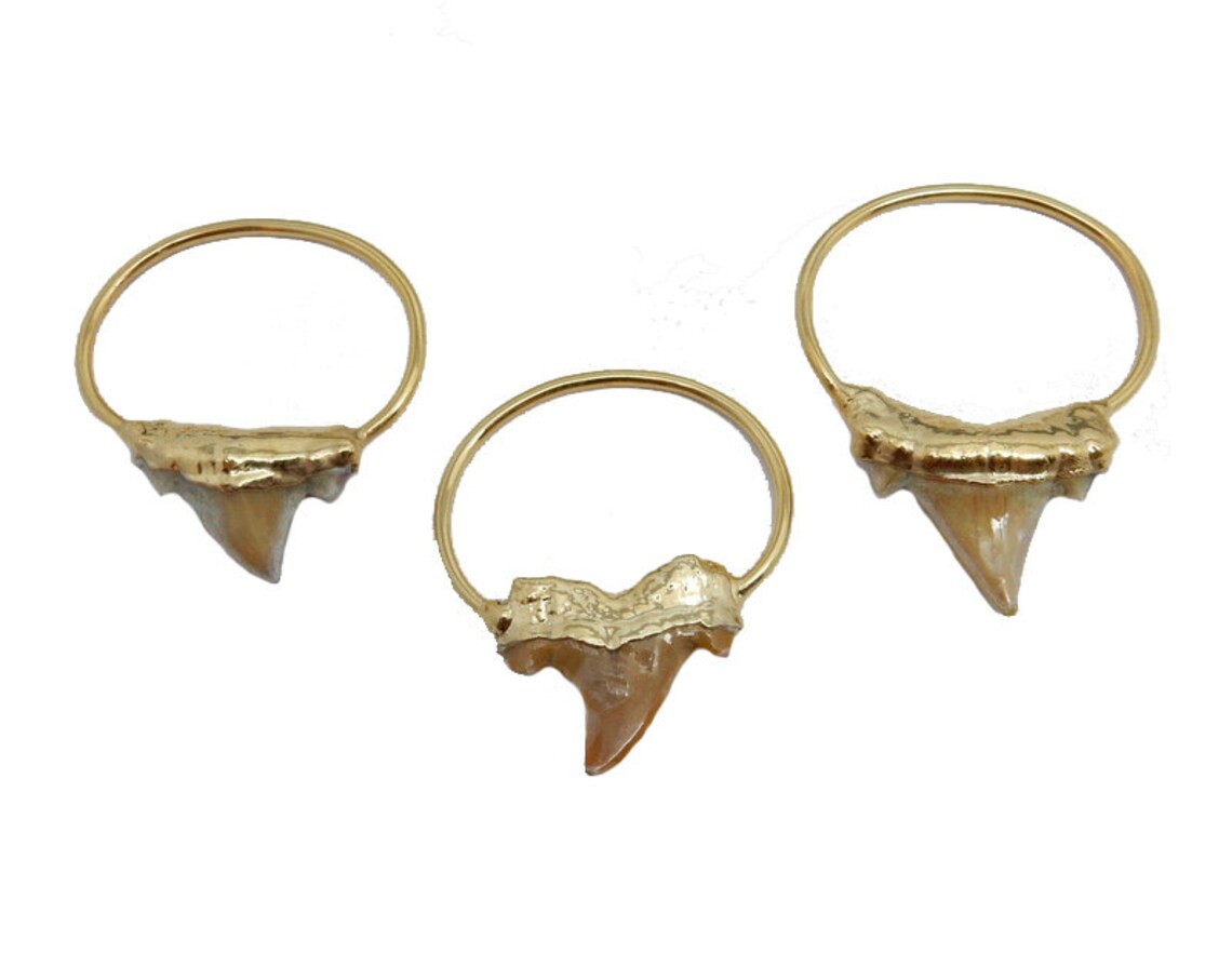 Shark Tooth Pendant With Fancy Electroplated 24k Gold Cap and | Etsy