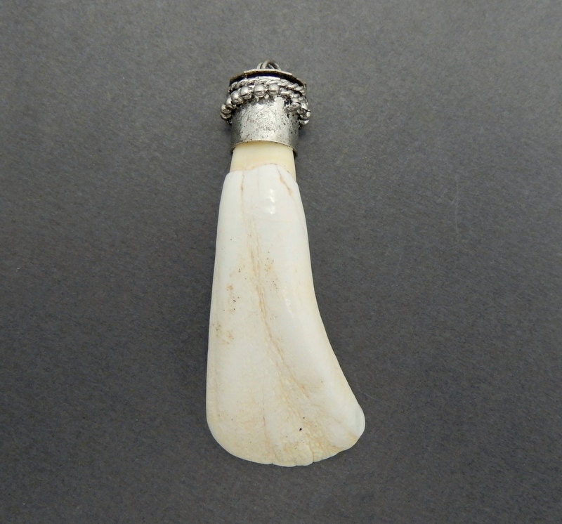 Bone Claw Pendant Charm with Silver-toned cap and bail Bone | Etsy