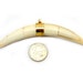 White Bone Carved Sideways Horn Pendant With Brass Band (S58B6) - Etsy