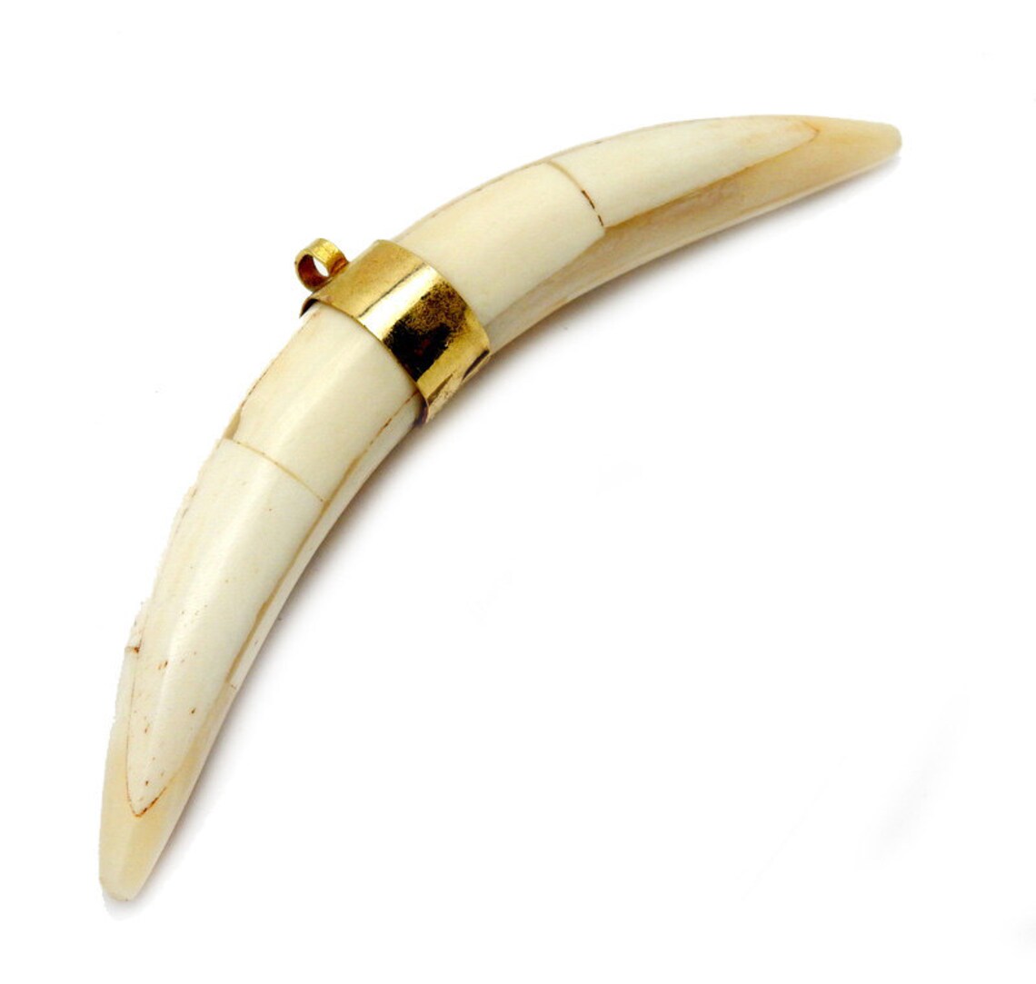 White Bone Carved Sideways Horn Pendant With Brass Band - Etsy