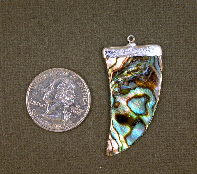 Abalone Shell Horn Pendant With Silver Cap and Bail PRETTY | Etsy