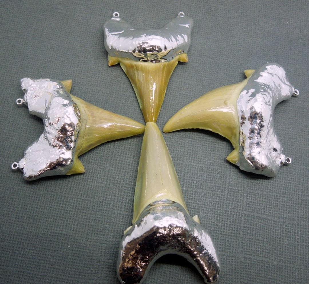 Real Shark Tooth Pendant Charm Silver Electroplated Cap and Bails ...