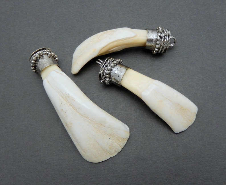 Bone Claw Pendant Charm With Silver-toned Cap and Bail Bone - Etsy