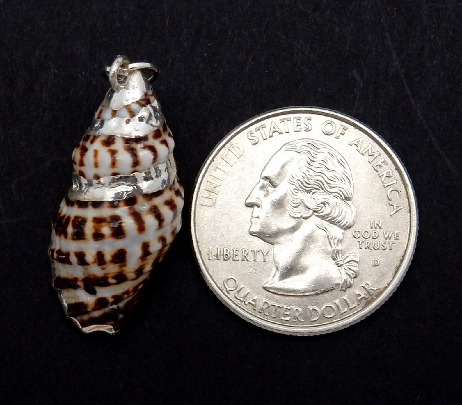 Brown Spotted Seashell With Silver Electroplated Swirl and Bail Pendant ...