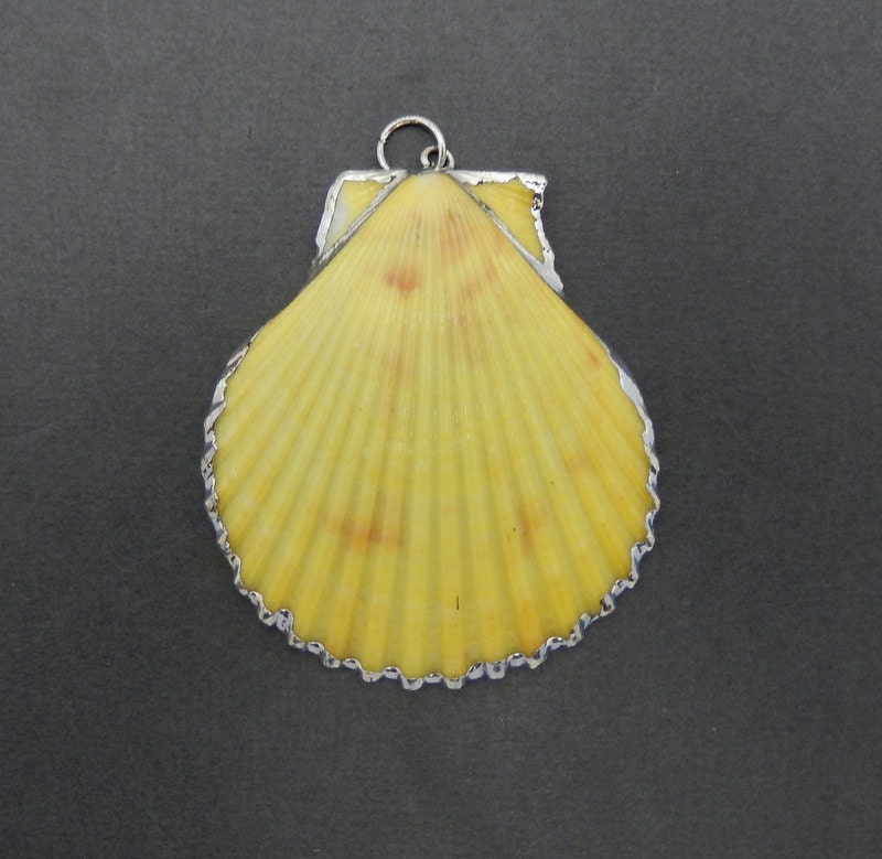 Amazing Yellow Shell Pendant With Electroplated Silver Edges - Etsy