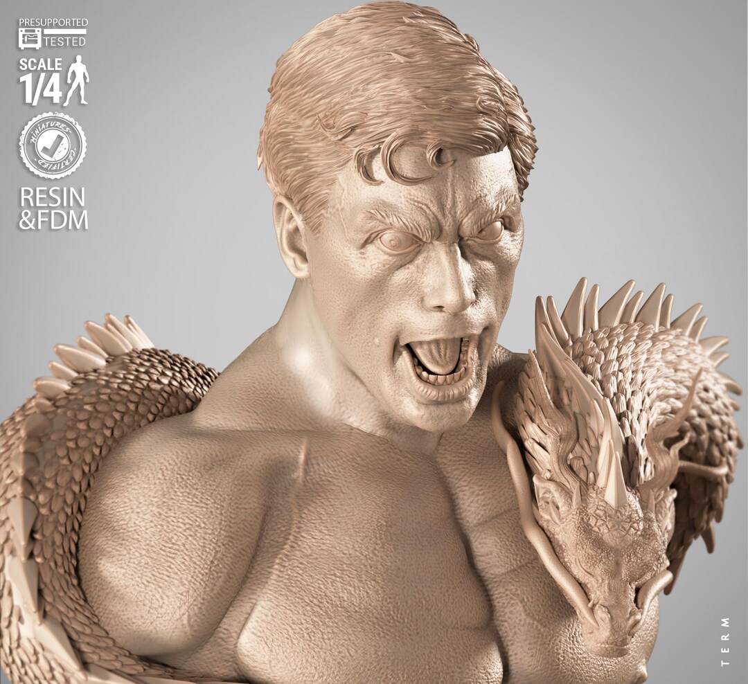 Frank Dux From Bloodsport - 3D STL File | Resin Stl File | FDM Stl File ...