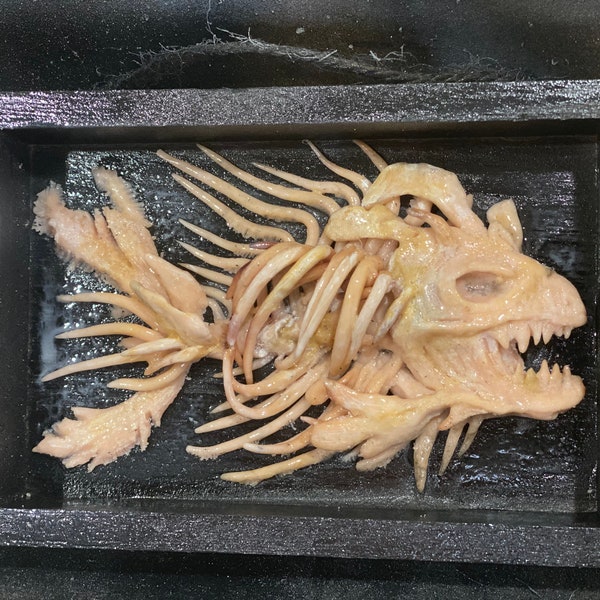 Fish Skeleton - Etsy