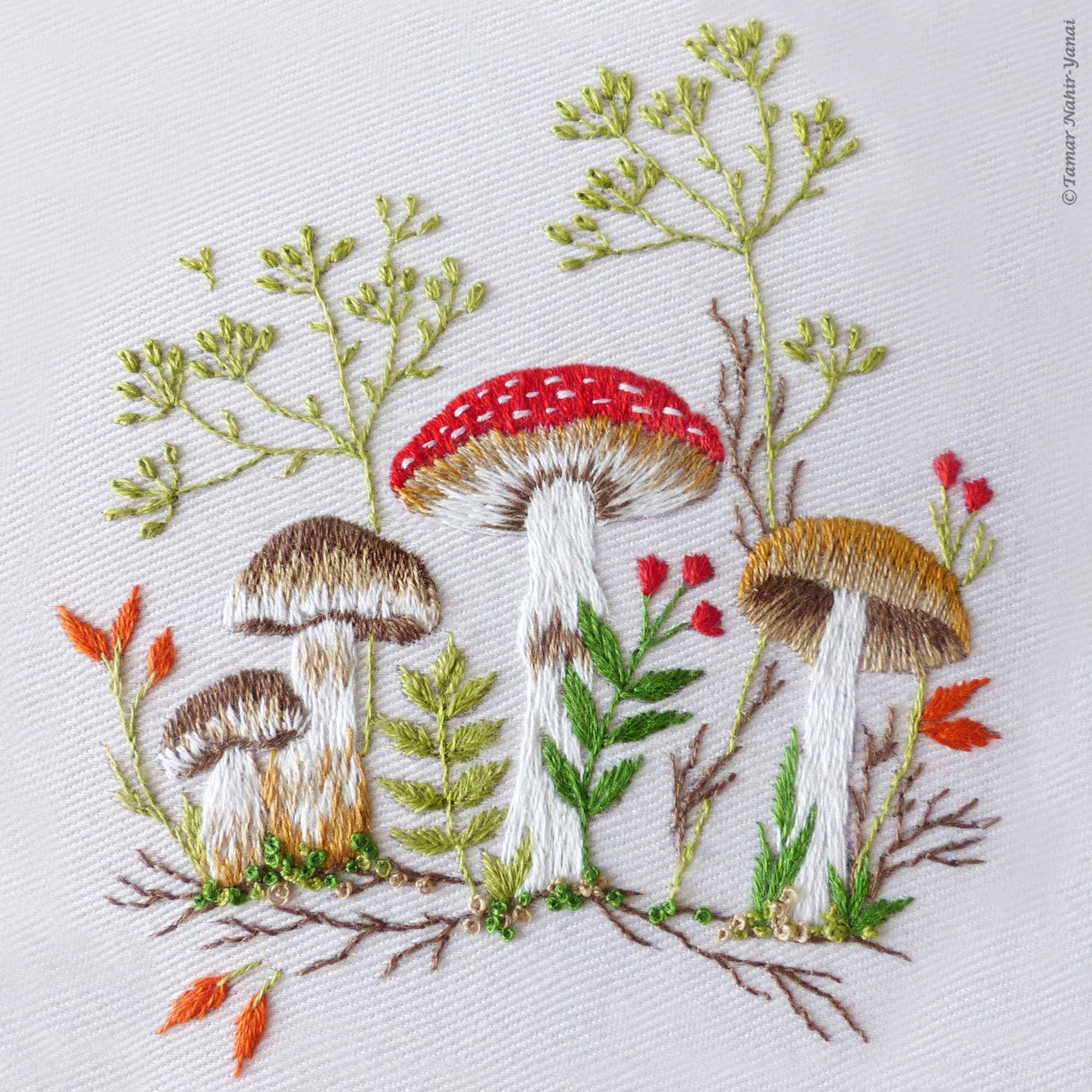 Forest Mushrooms - Embroidery Kit, Mushrooms Embroidery, Autumn ...