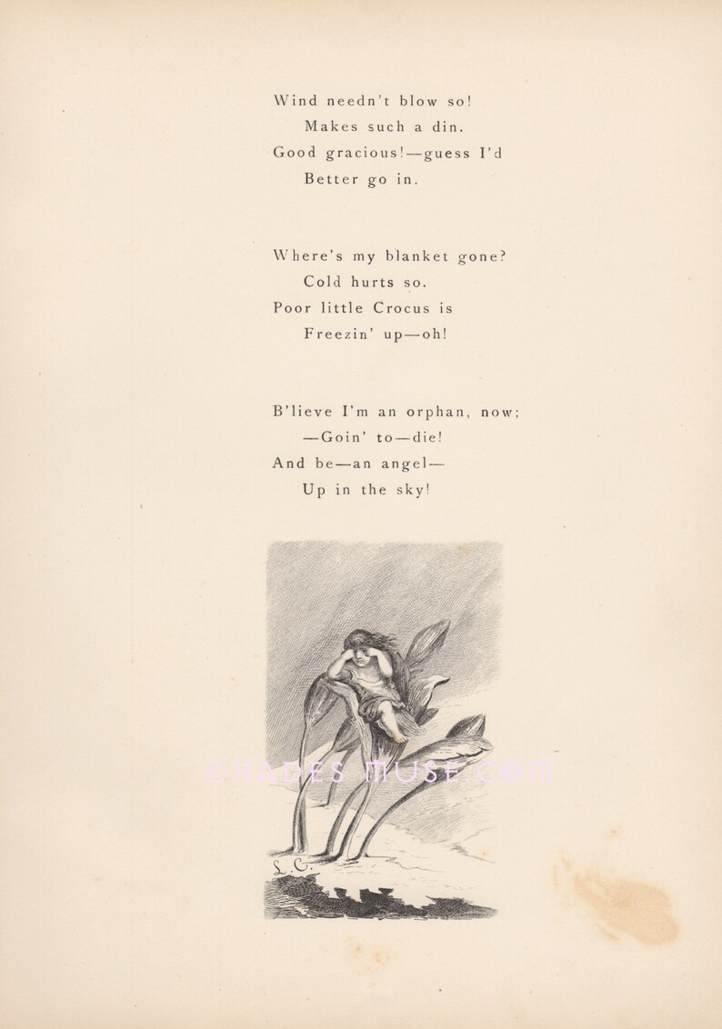 Fairy Freezes to Death-flower-blooming Crocus-victorian - Etsy