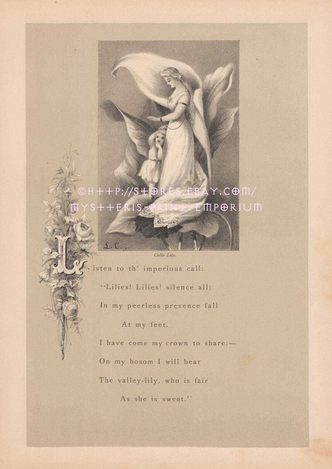1877 Fairy Queen-calla Lilly-antique Vintage Art Print-picture ...