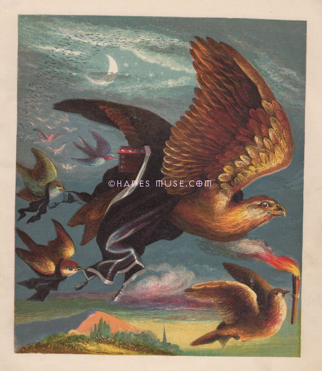Eagle Carries Casket-coffin-kite-dead Bird-death-funeral-mourning-poor ...