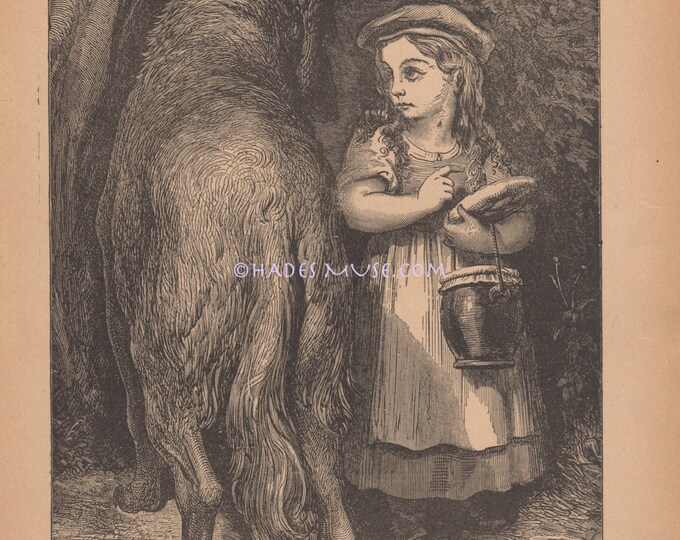 Little Red Riding Hood-big Bad Wolf-grimms' Fairy Tales-grandmother-forest-1887 Old Antique ...