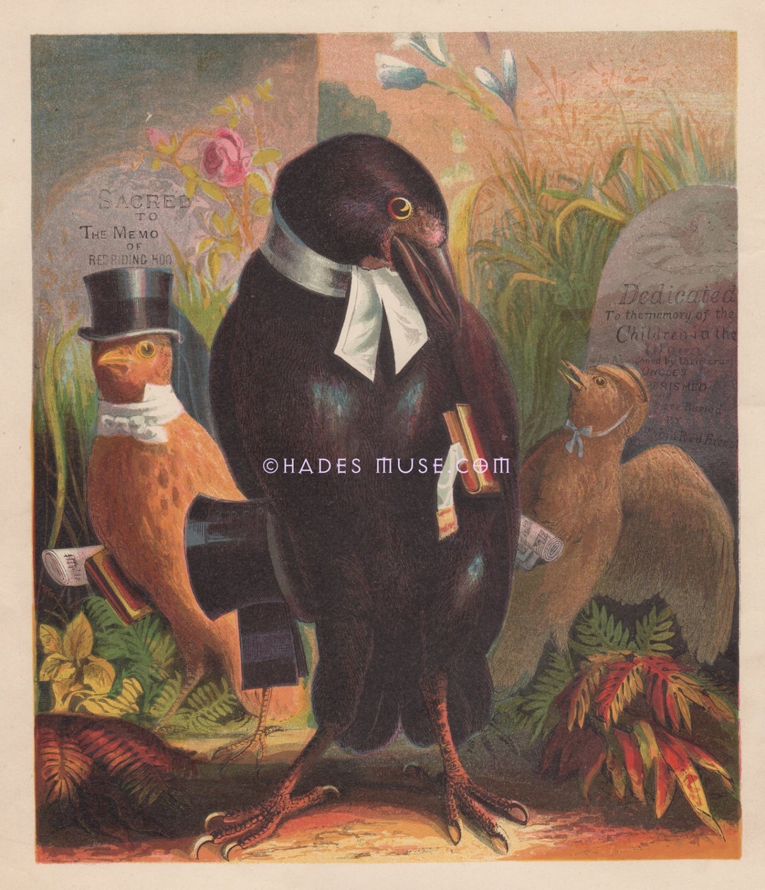 Rook is Parson for Dead Bird-death-funeral-lark-mourning Dove-poor Cock ...