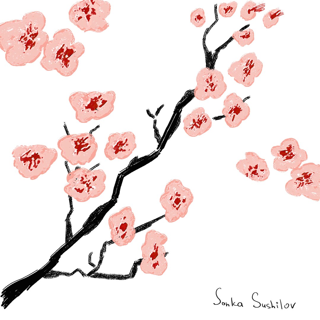 Sakura - Japanese Cherry Blossom Art Print (2 Different Sizes) - Pink ...