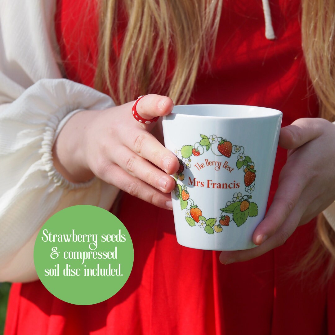 Personalised Teacher Gift STRAWBERRY Plant Pot With Strawberry Seeds ...