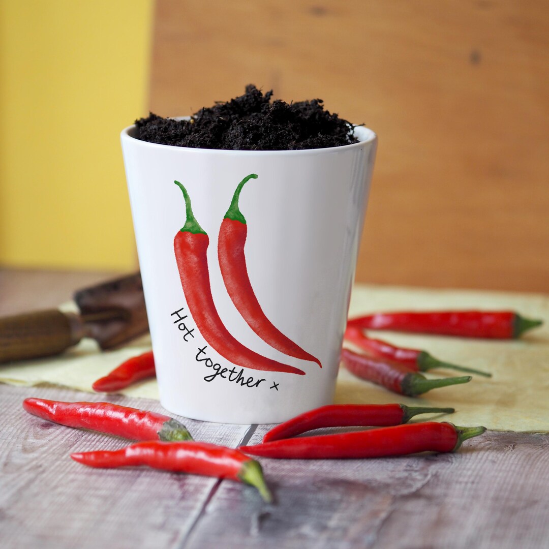 Cheeky Chilli Planter: Hot Together Valentine Gift With Seeds - Etsy