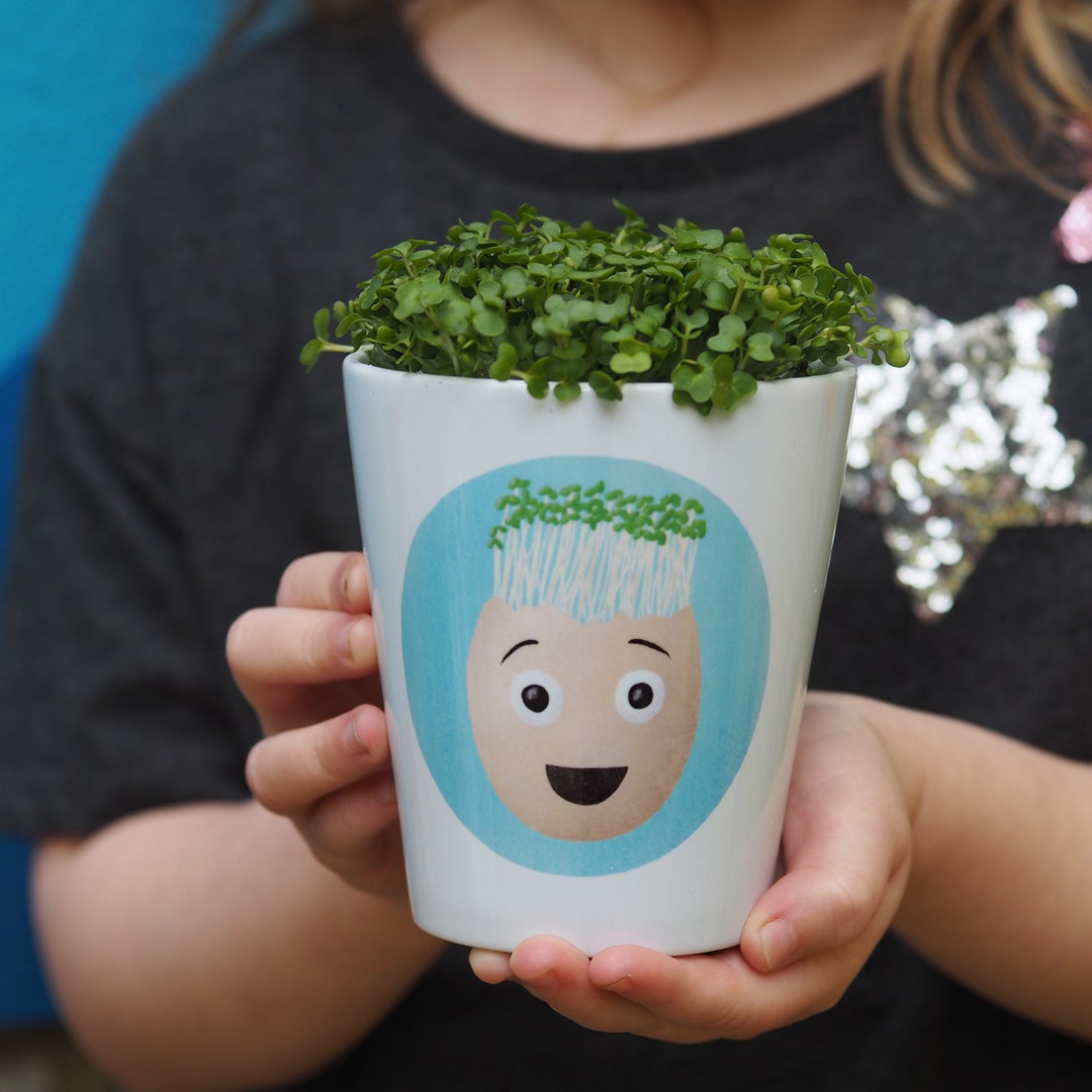 Grow Your Own Cress Egg Head Plant Pot Gift Set With Seeds and Soil Add ...