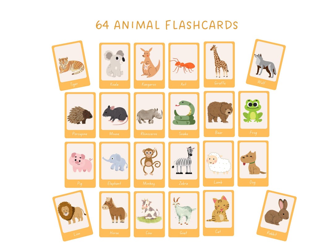 Animal Flashcards for Kids | 64 Printable Animal Cards | English ...