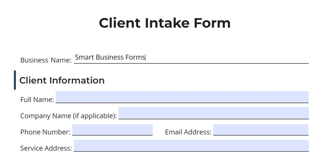 Editable Client Intake Template for Service Providers | Printable Small ...