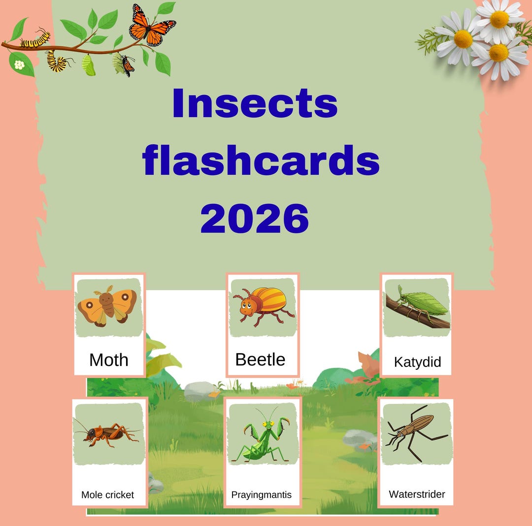 Insects Vocabulary Flashcards | Digital PDF Learning Tool. - Etsy